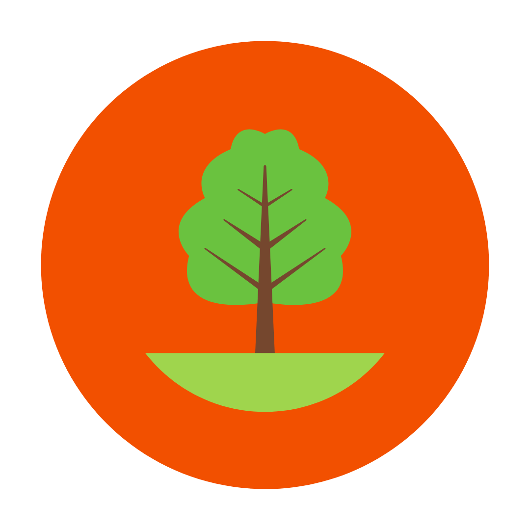 Top 10 Outdoor Team Building Activities | Learn2